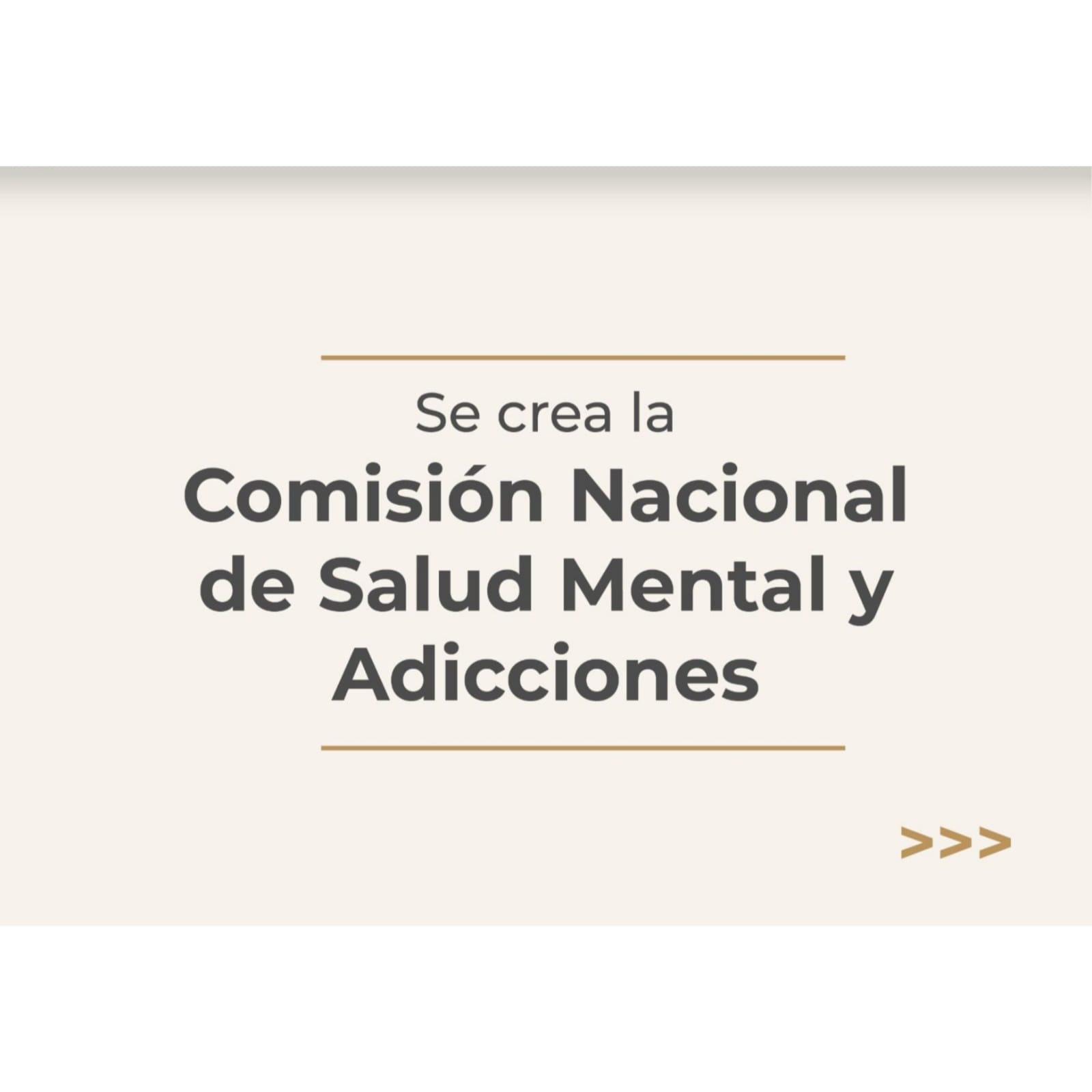 Se Crea Comisión Nacional De Salud Mental Y Adicciones Plan B Guerrero